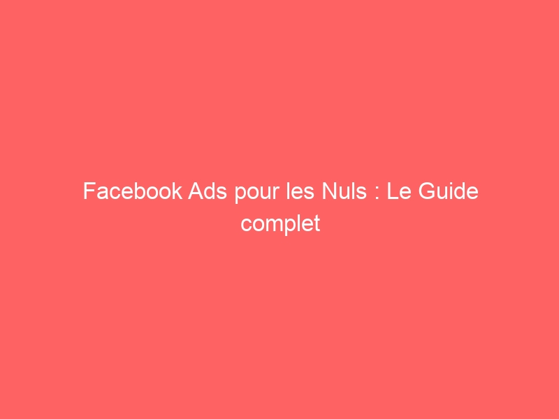Facebook Ads pour les Nuls : Le Guide complet | Solution-vad
